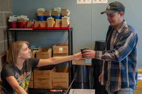 Services - Metro Caring